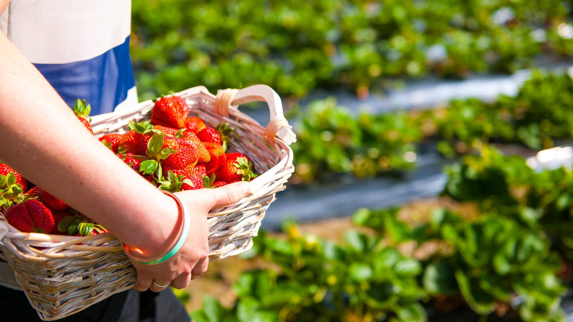 Spring in the Adelaide Hills | Visit Adelaide Hills