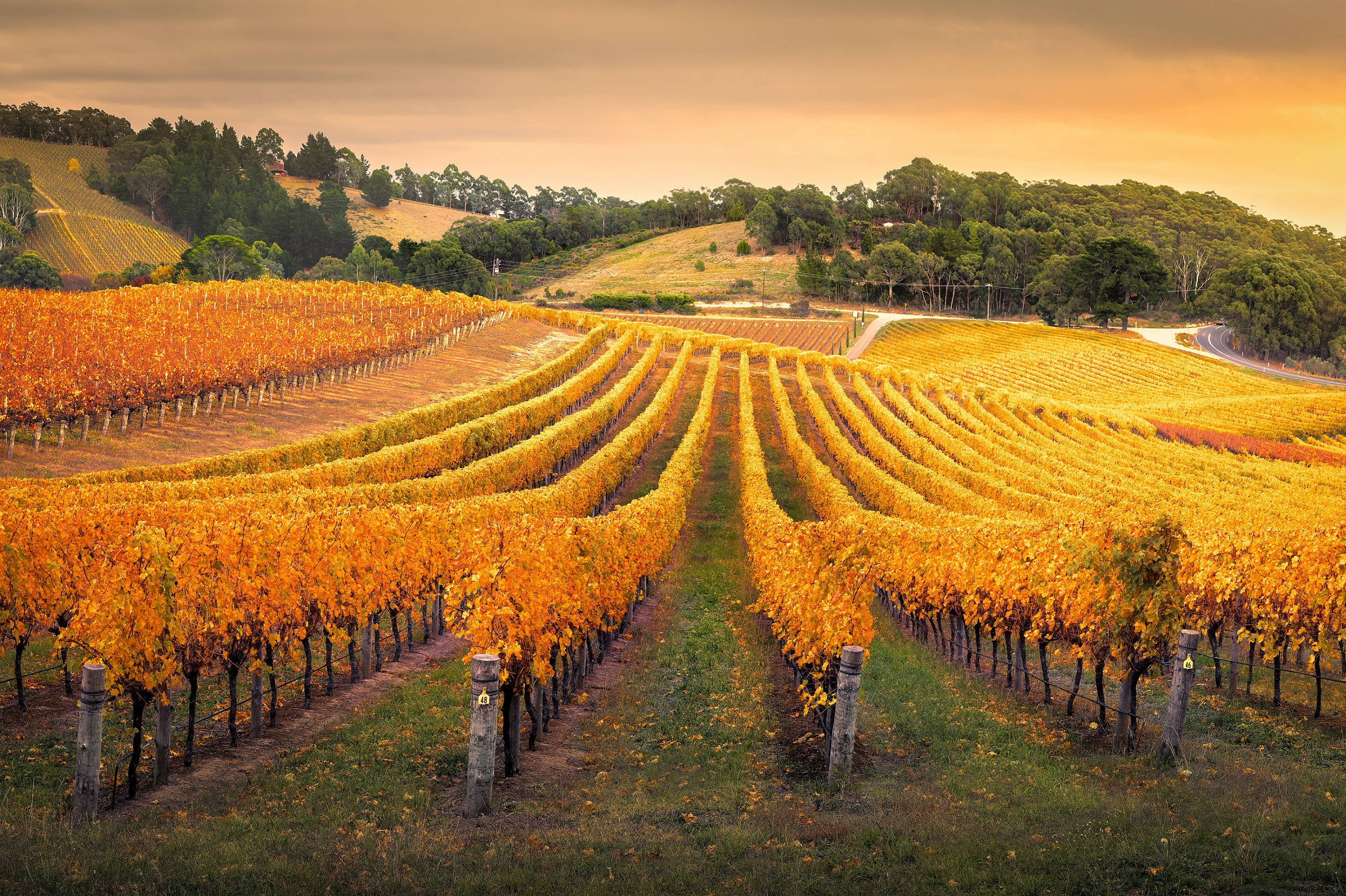 Visit Adelaide Hills | Destinations | Visit Adelaide Hills