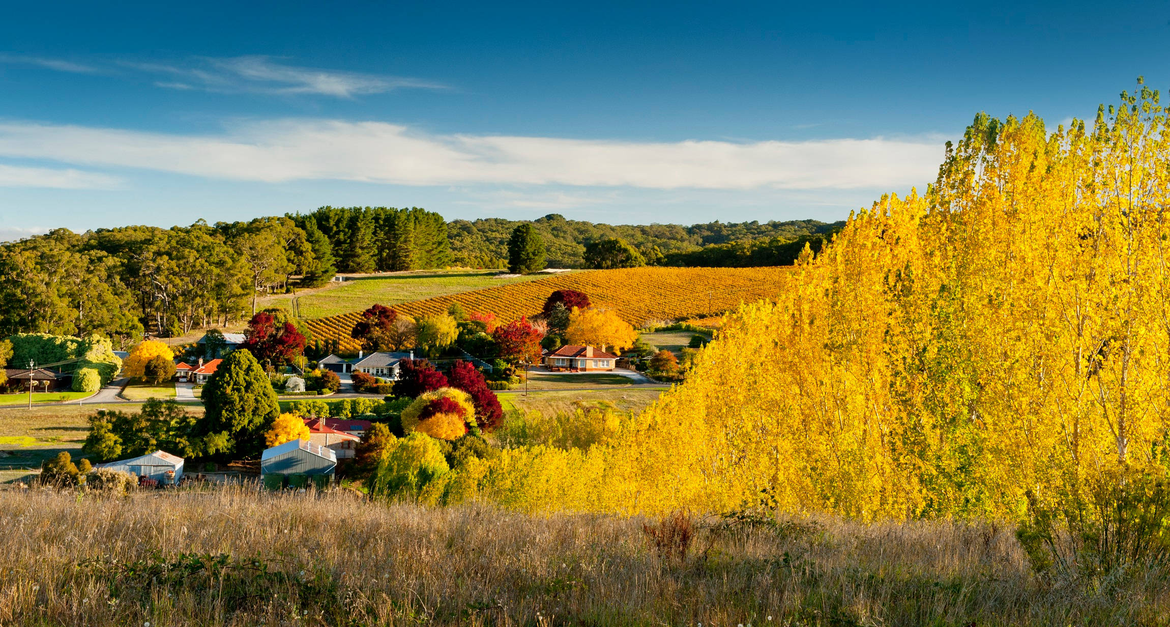 Spring in the Adelaide Hills | Visit Adelaide Hills