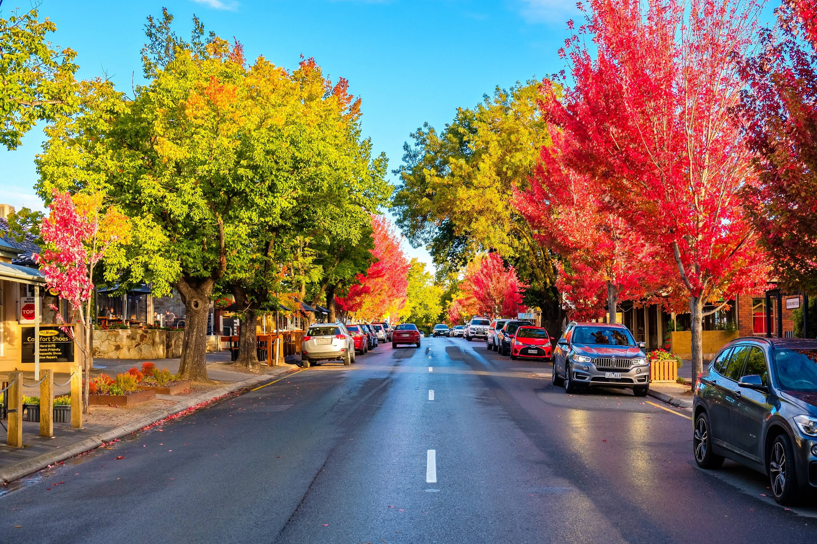 Visit Adelaide Hills I Autumn | Visit Adelaide Hills
