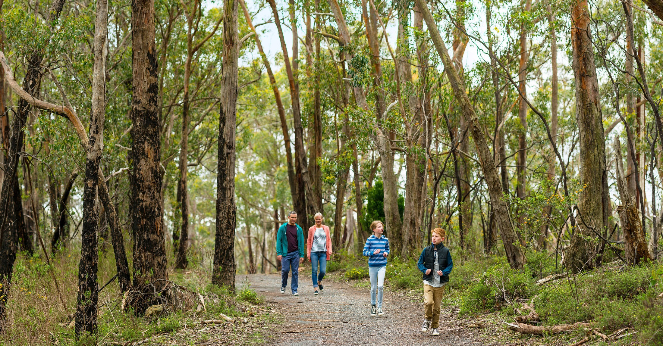 Visit Adelaide Hills I Walking and Hiking | Visit Adelaide Hills